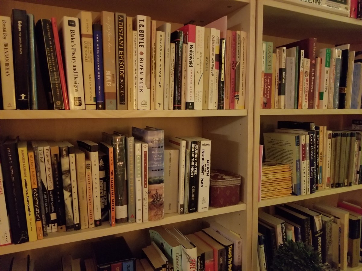 There is no such thing as too many books | Matthew Sheahan