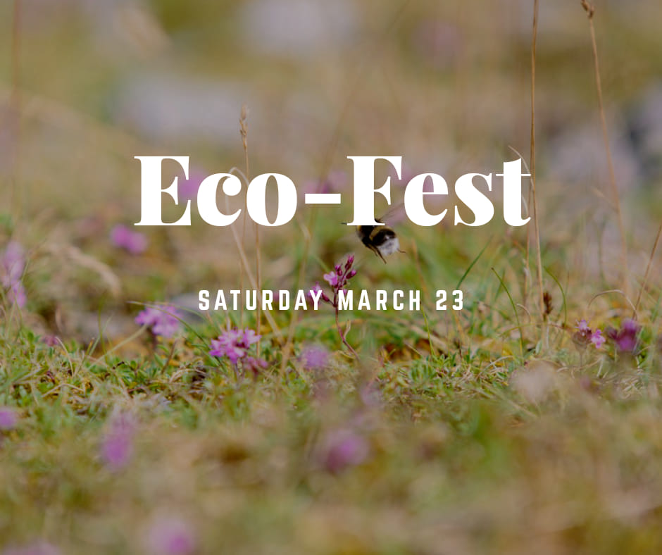 Come to the Flushing Eco-Fest | Matthew Sheahan